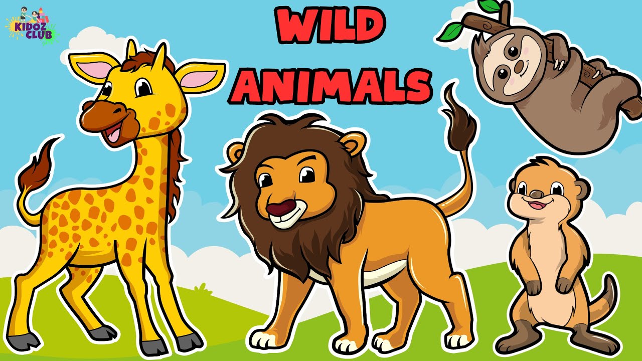 Wild Animals | learn Wild Animals | Wild Animals For Kids - YouTube