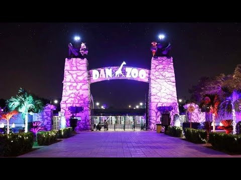 Zoo much fun | Danzoo | Zoo - YouTube