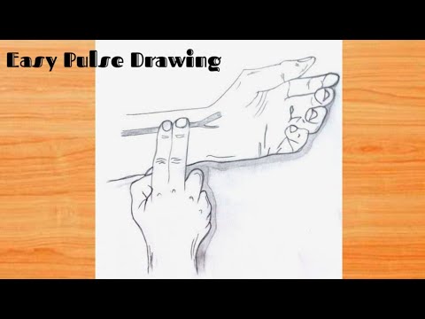 How to draw pulse / pulse drawing easy / pulse rate diagram ...