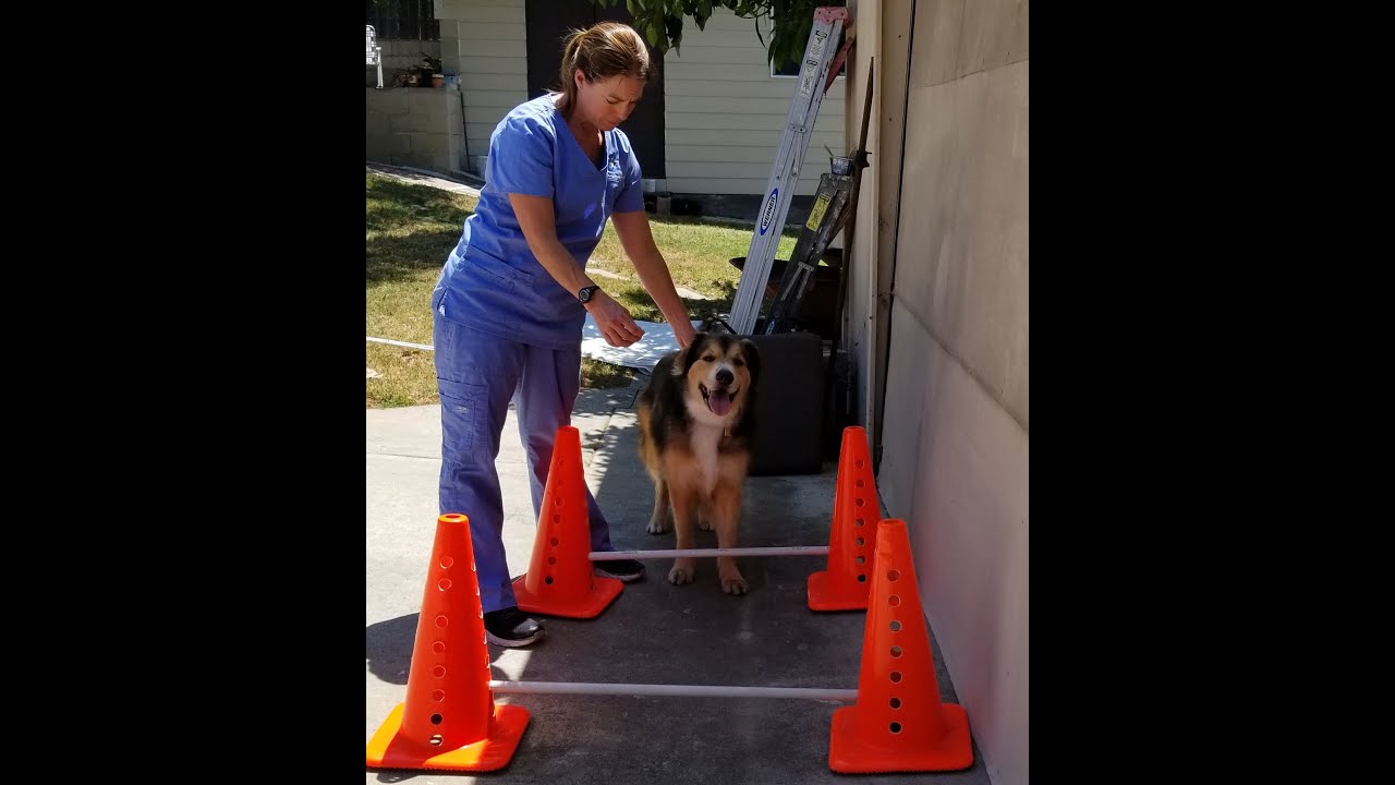 Cavaletti Rails - YouTube