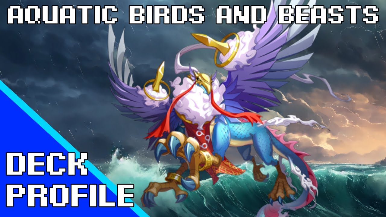 Digimon TCG! Xiangpeng Aquatic Deck Profile (EX06) - YouTube