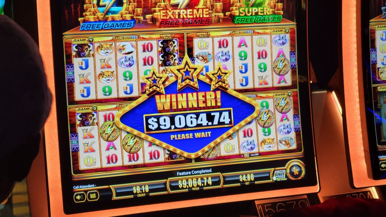 I WITNESSED A MASSIVE WIN ON BUFFALO GOLD MACHINE!! 🐃 💰 - YouTube