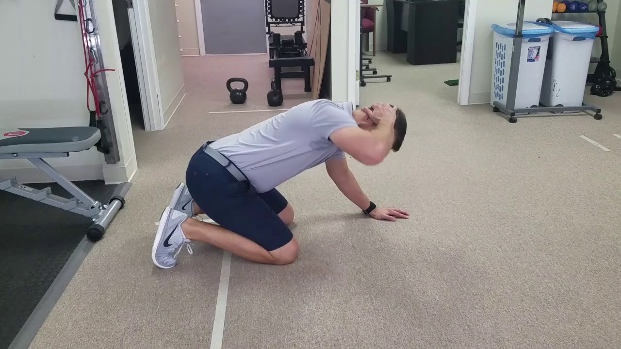 Quadruped Thoracic Rotation - YouTube