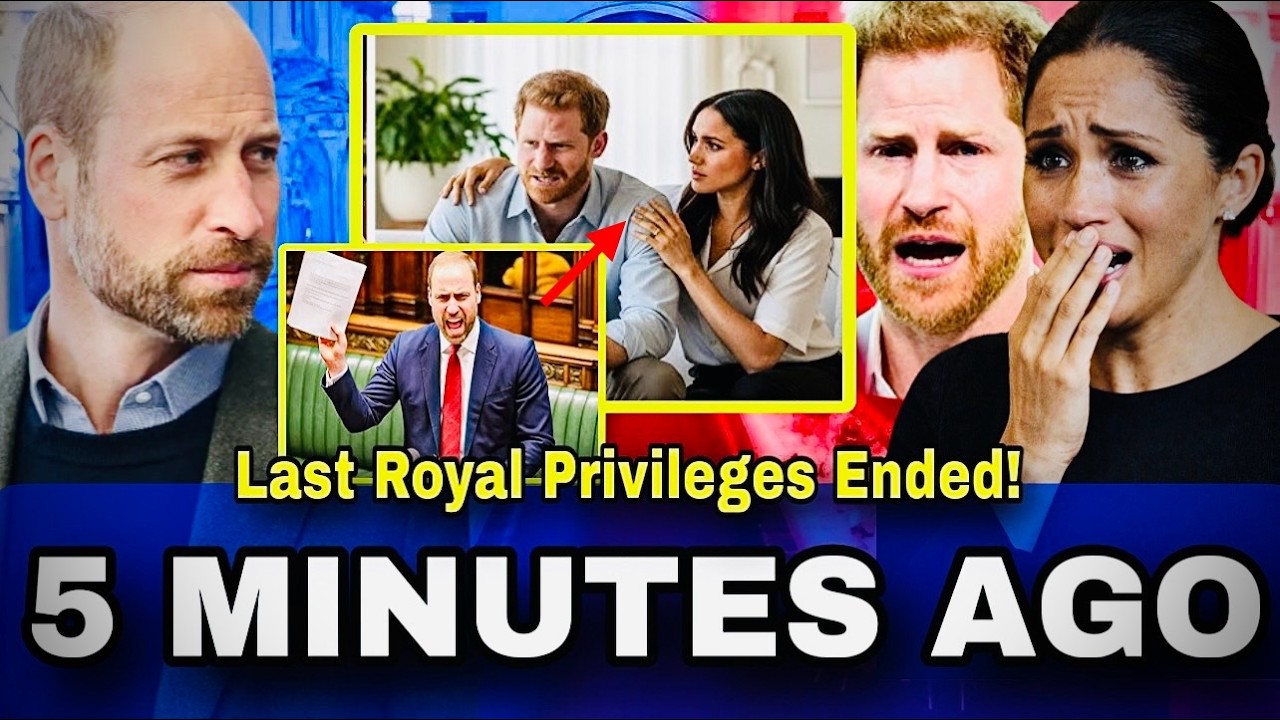 Prince William Finally Strips Harry And Meghan’s Last Royal Privileges ...