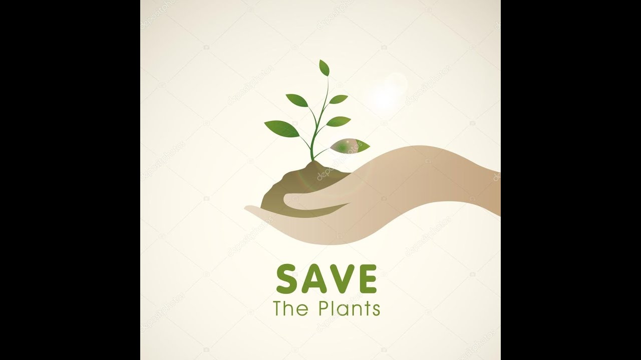 YES WE CAN SAVE THE PLANTS!!! - YouTube