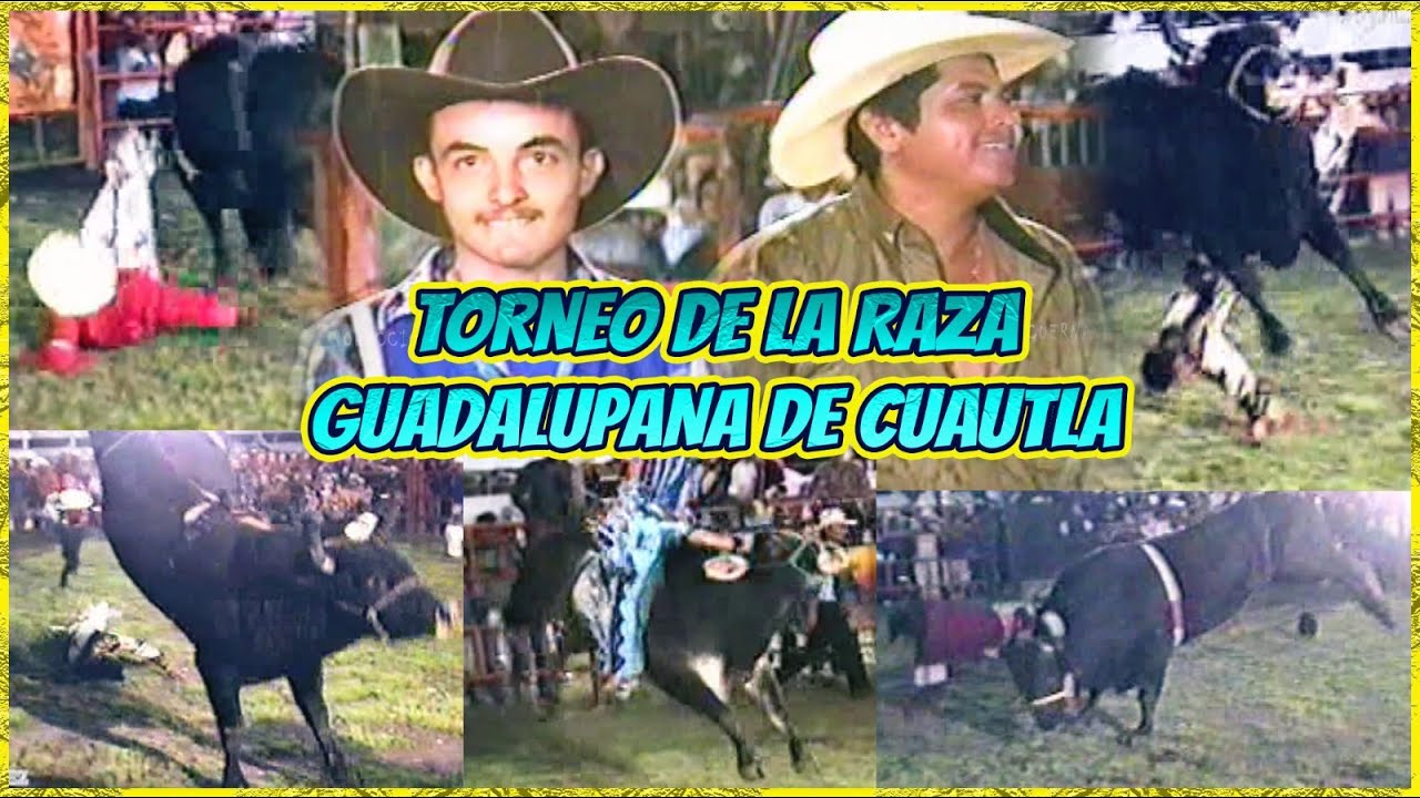 💥PURO TORO CAMPEON, TORNEO DE LA RAZA EN LA GUADALUPANA DE CUAUTLA ...