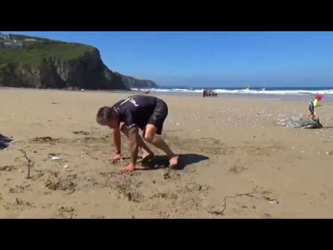 Metafit RE-ORG - Metafit REORG - Aimfit Australia
