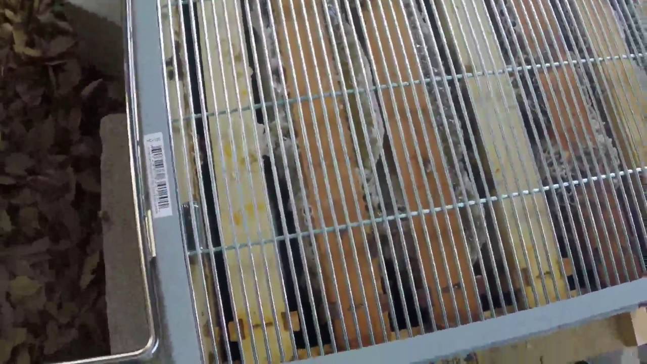 Installing A Super And Queen Excluder 3 - YouTube