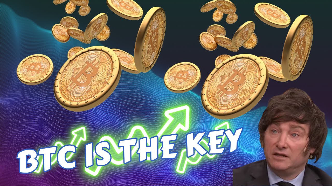 JAVIER MILEI TALKS ABOUT BITCOIN - YouTube