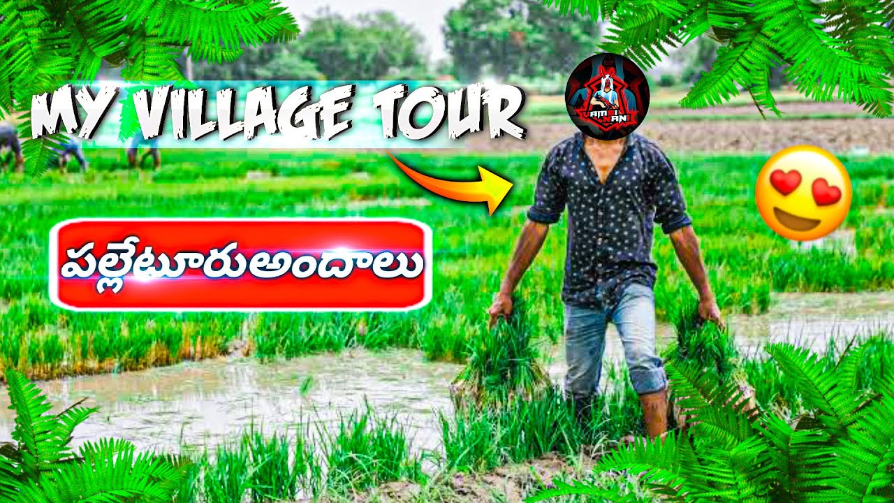 My Village Tour 😍 Beauty of West Godavari 🦅 || Vamsi Nani Gaming #village #tour - YouTube