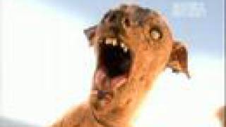 Worlds Ugliest Dog Sam