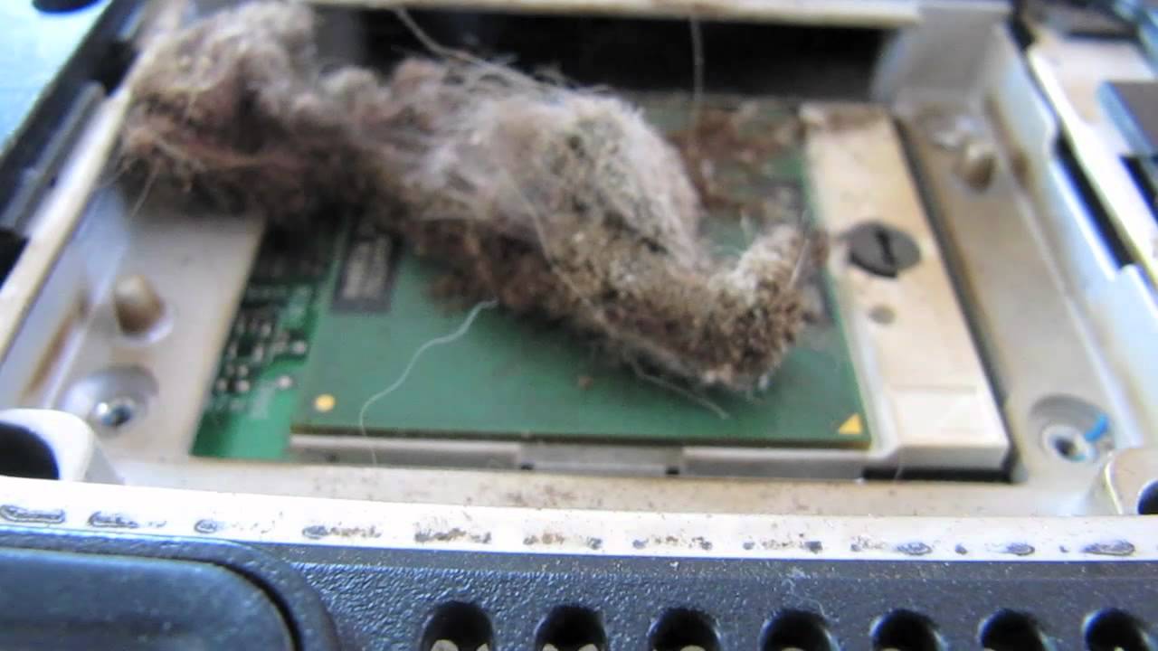 Computer Dust - YouTube