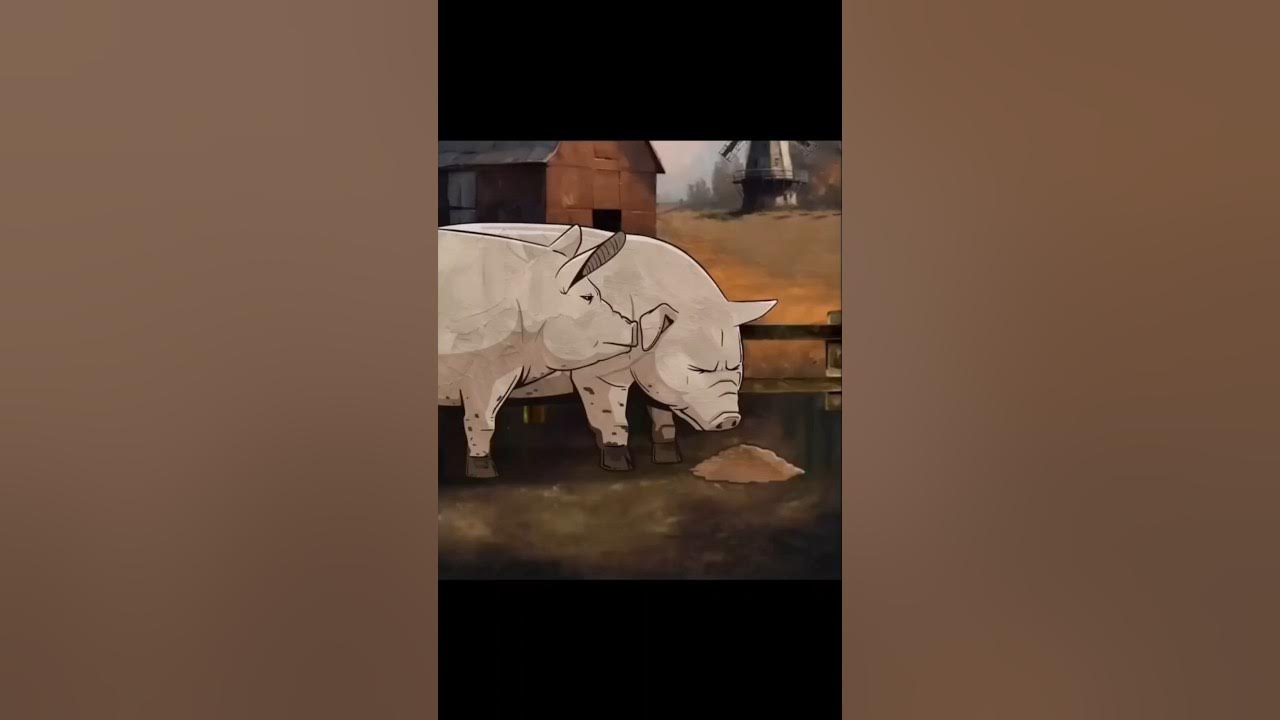 Thì ra con người trong mắt bọn heo là như vậy #shots #funy #meme - YouTube