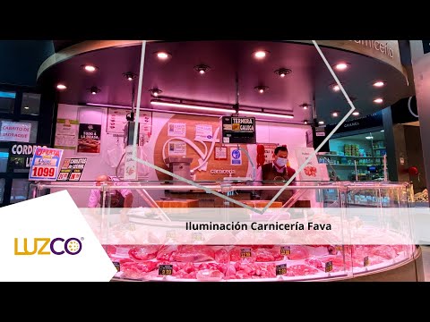 Iluminación Carnicería Fava | Luzco Iluminación