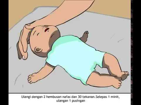 CPR Untuk Bayi avi - YouTube