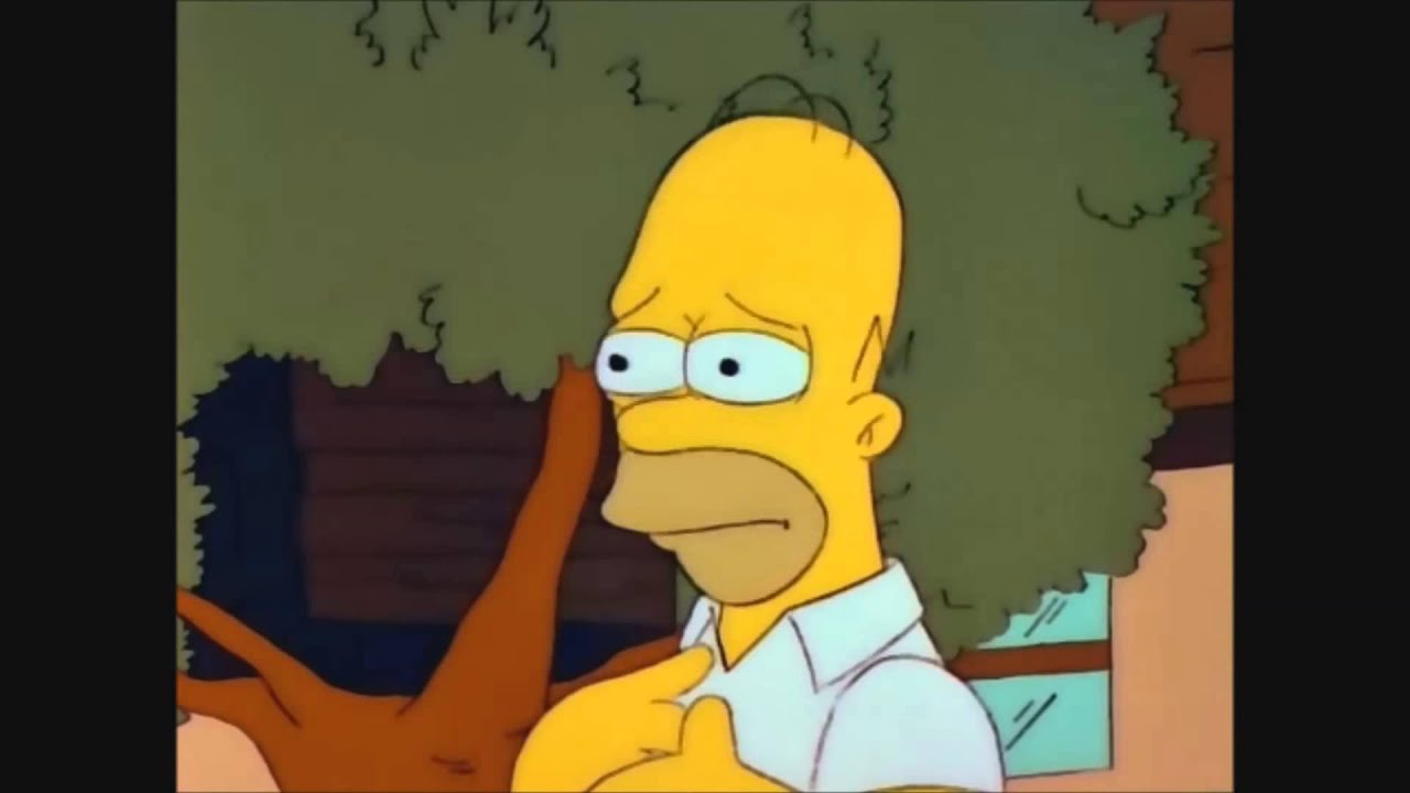 Homer Simpson - YouTube