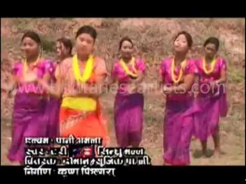 Pani Amala Nepali Lok Dohari by Hari Poudel and Sindhu Malla - YouTube