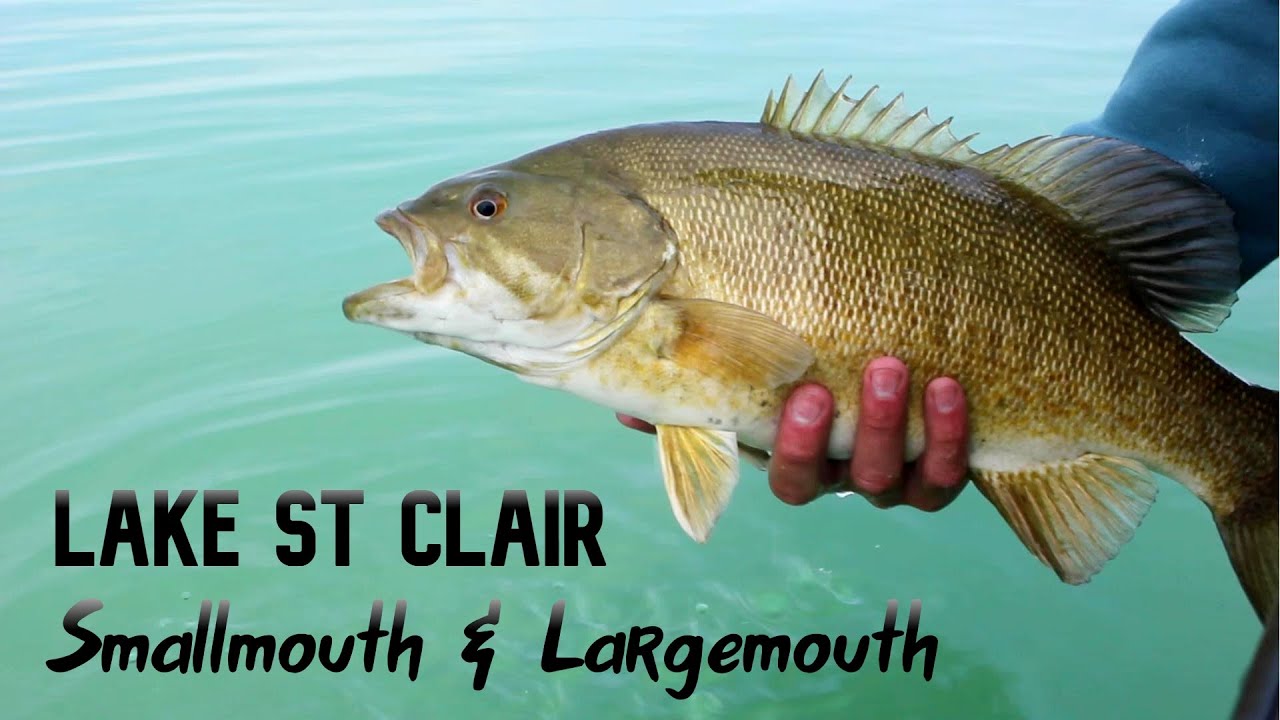 Lake St Clair Spring Fishing - How to catch Smallmouth & Largemouth ...