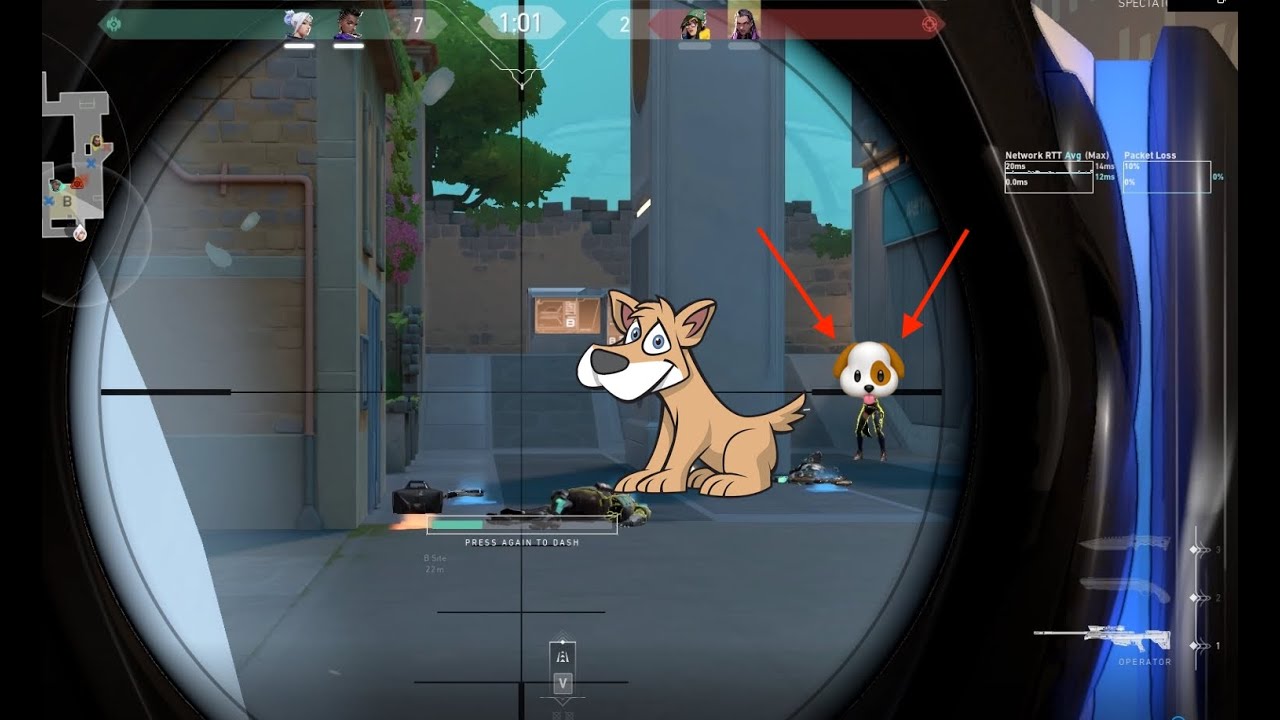 teaching dogs how to sit in valorant - YouTube