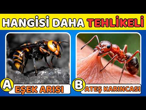 Hayvanları Ne Kadar İyi Tanıyorsun? 🦁🐘🐍 | 35 Soruluk Genel Kültür Bilgi Yarışması🧠 BULMACA QUİZ TEST