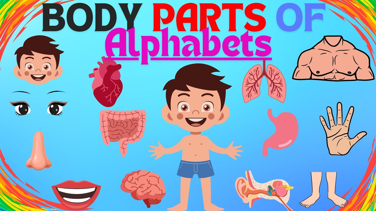 Learn Body Parts in English | Educational Video for Kids | Learn body ...