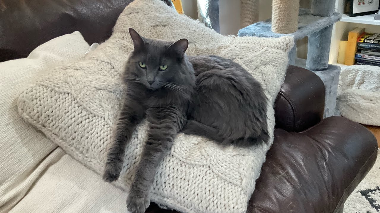 Clicking the Minecraft respawn button 2 Millinillion times part 98 ...