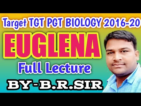 UPTGT PGT 2020 Euglena full lecture || Euglena most important points || UPTGT Biology online class