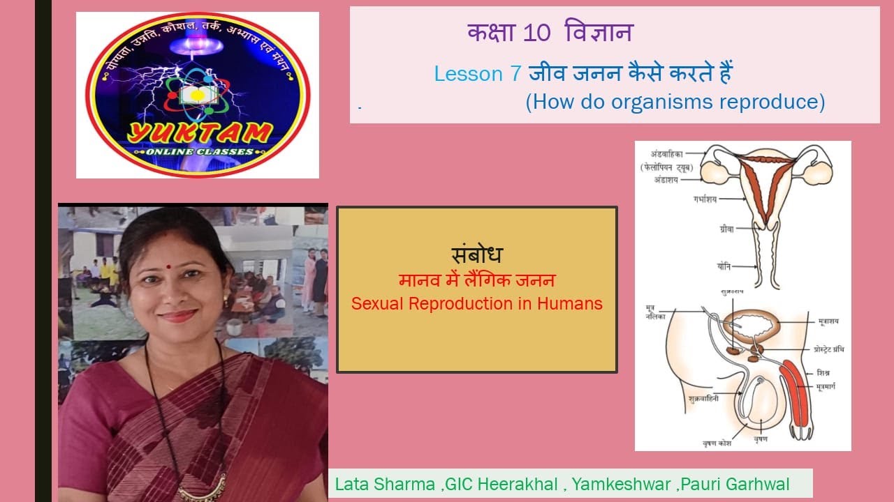 Class 10 Science | Lesson 7 | How Do Organisms Reproduce? | Sexual ...