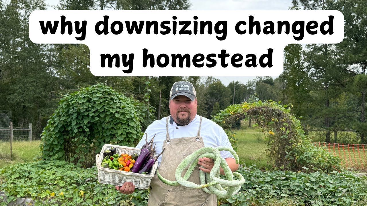The Surprising Reason We're Downsizing Our Homestead - YouTube