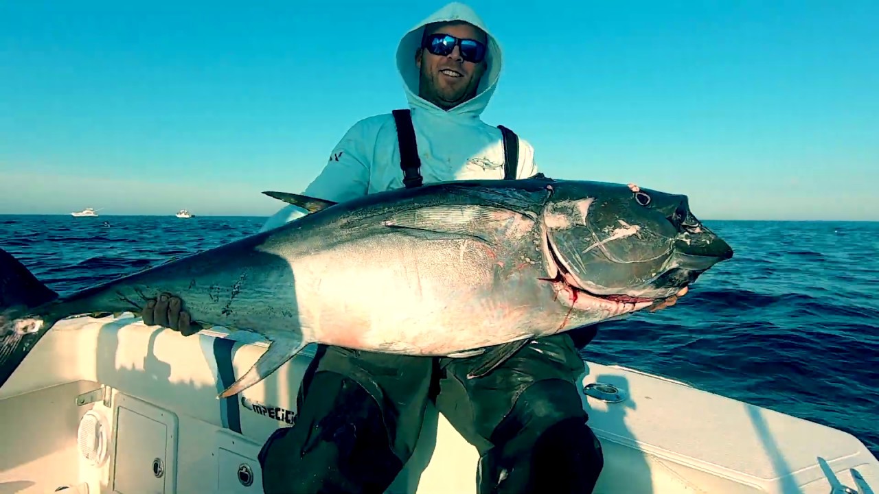 Bluefin Tuna Topwater and Jigging Action with TAK Waterman - YouTube