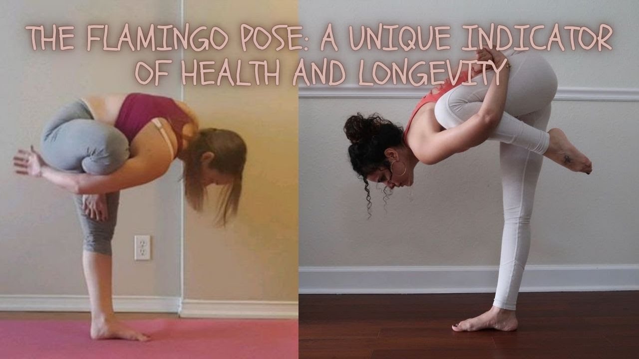 The Flamingo Pose: A Unique Indicator of Health and Longevity - YouTube