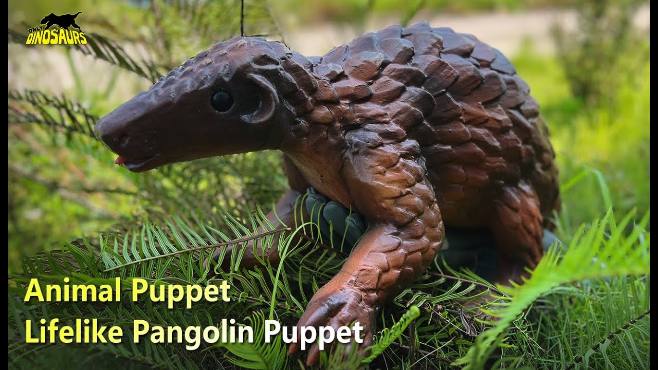 Lifelike Pangolin Puppet | Animal Puppet - YouTube