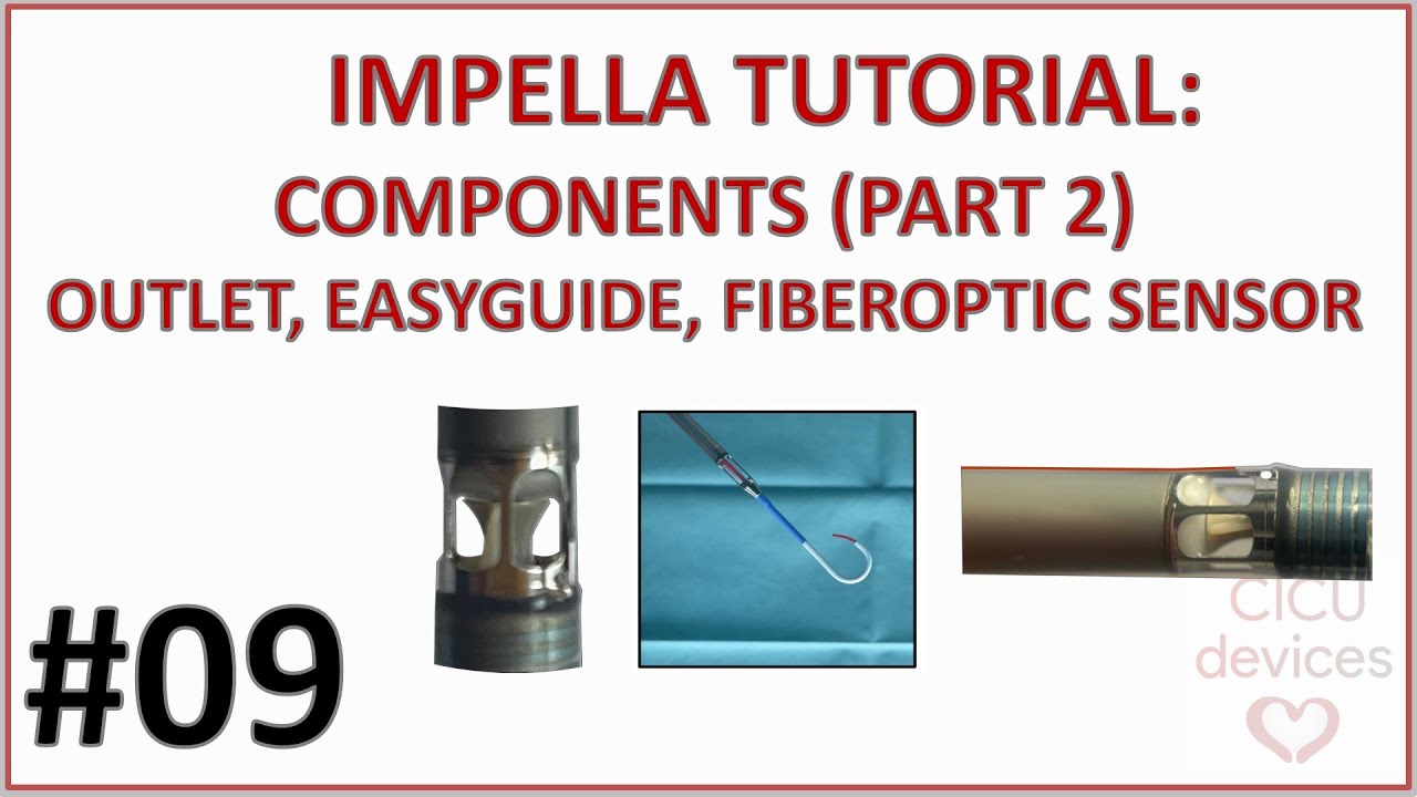 IMPELLA TUTORIAL 009: IMPELLA COMPONENTS, OUTFLOW, EASYGUIDE LUMEN ...
