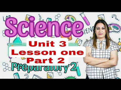 prep 2 unit three lesson 1 part 2) ( Fossils part 2) درس الحفريات الجزء ...