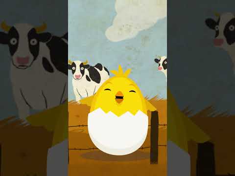 🎨🌈 ÇİFTLİK HAYVANLARINI TANIYORUZ! | Eğlenceli ve Eğitici Çocuk Videosu | Kidflix 🧸🎶