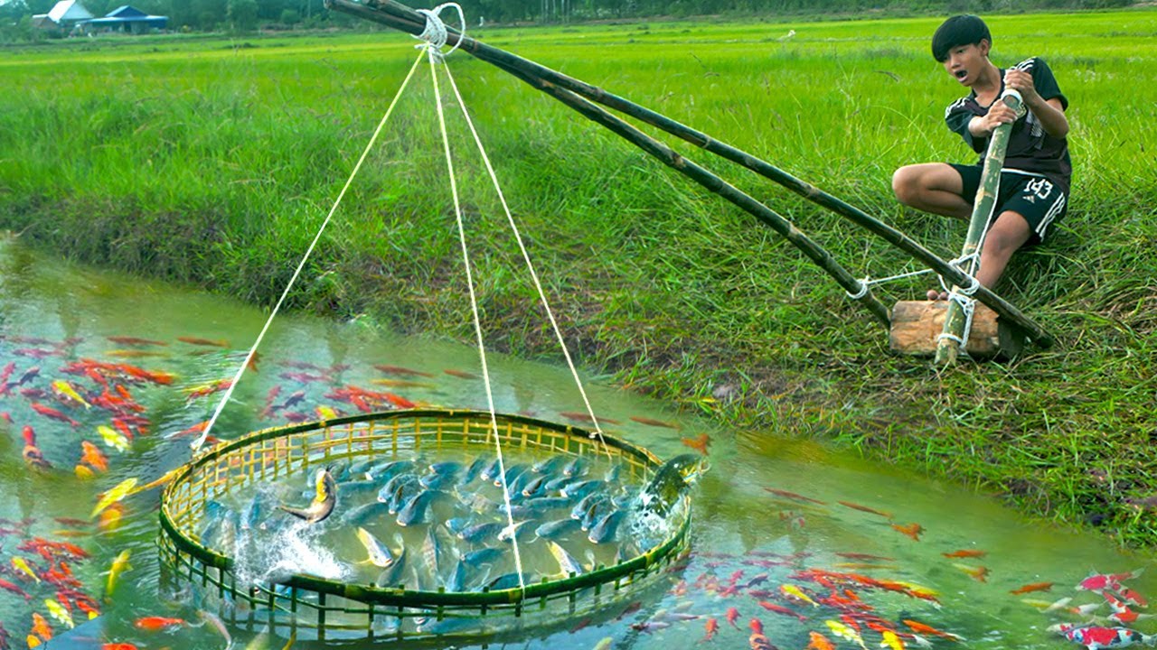 Primitive technology - Build Fish Trapping System Catch fish Using ...