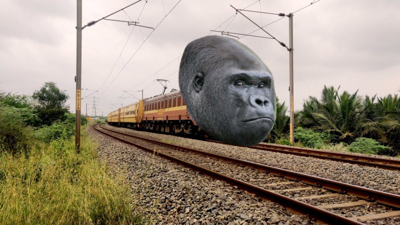 Funny Baboon Gorilla Train | Dheeran Kid | Funny Train Videos ...