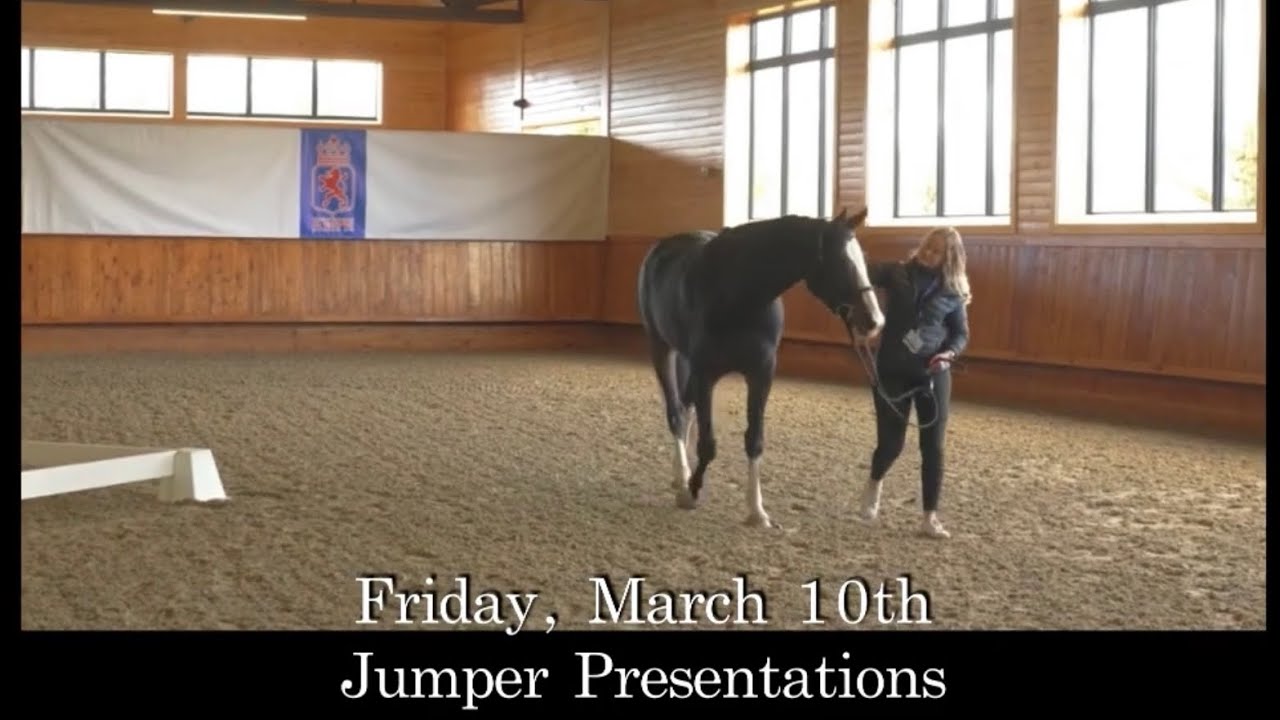 AGM 2023 at Sonnenberg Farm - Jumper presentation I - YouTube