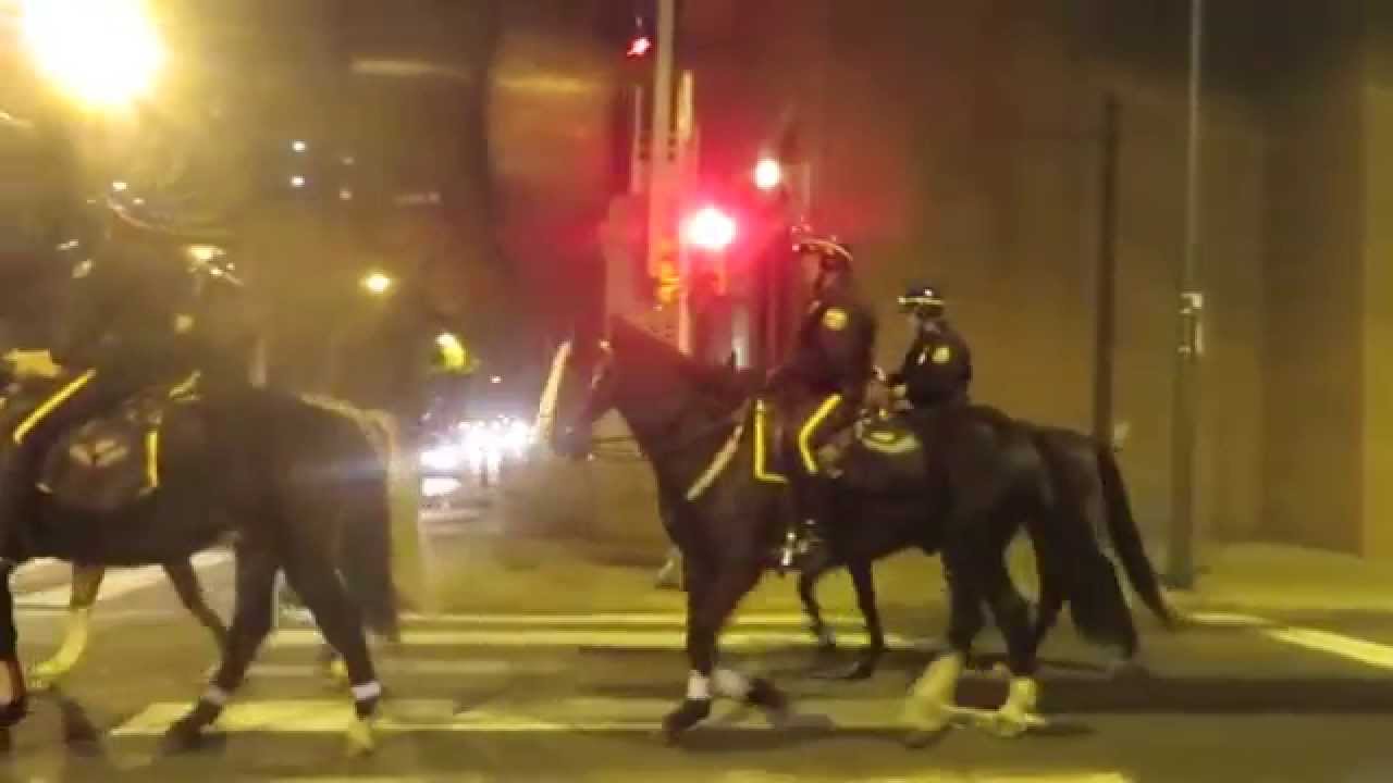*RARE* Philadelphia Police Mounted Unit Patrolling - YouTube