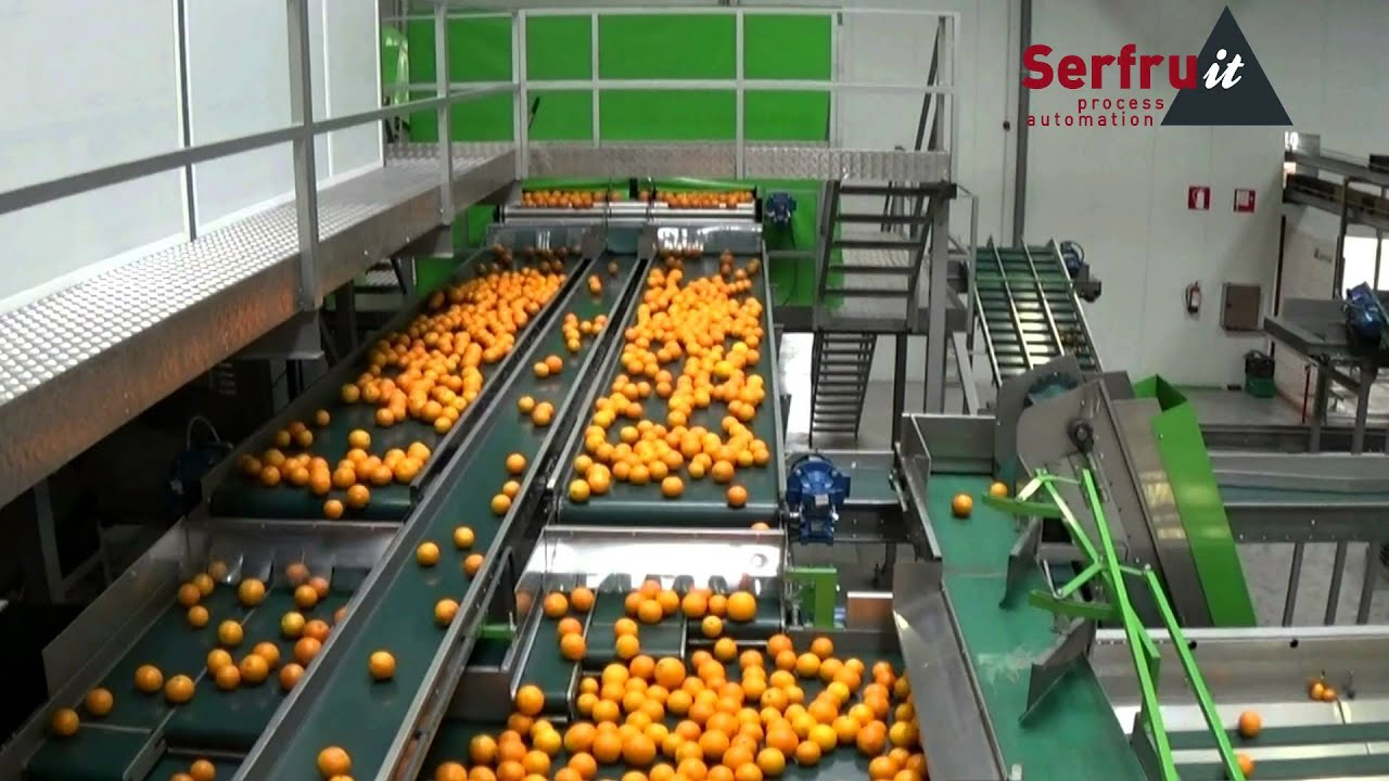 Líneas de proceso tratamiento productos - YouTube