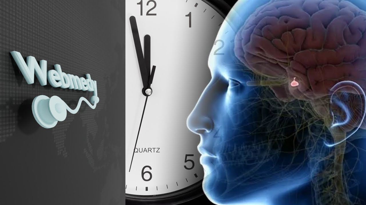 Was ist circadianer Rhythmus und wie funktioniert er? - YouTube