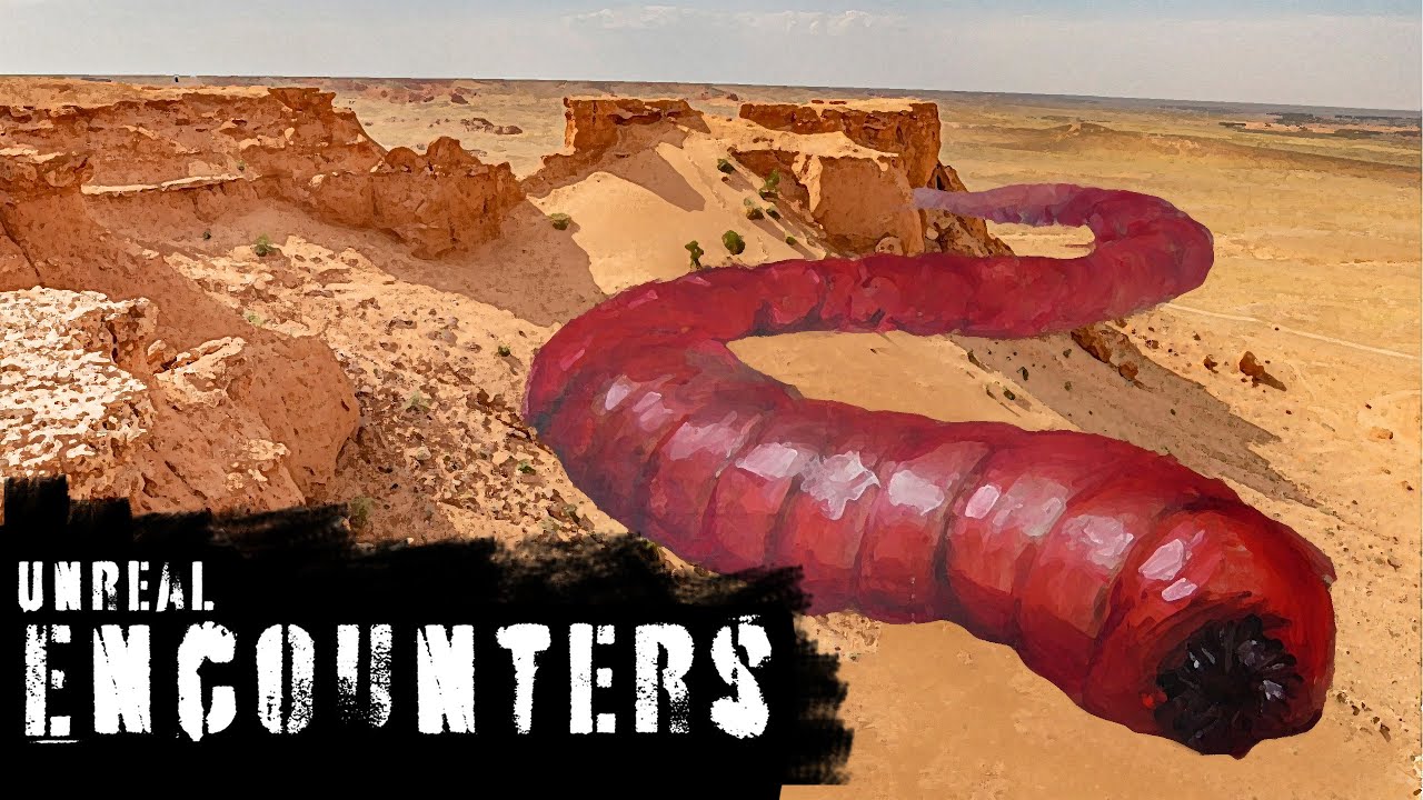 The Underground Horror of the Mongolian Death Worm | Unreal Encounters ...