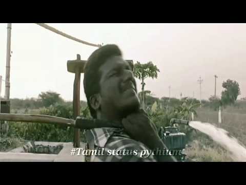 asura whatsapp status | asura whatsapp status bgm| pollatha boomi song