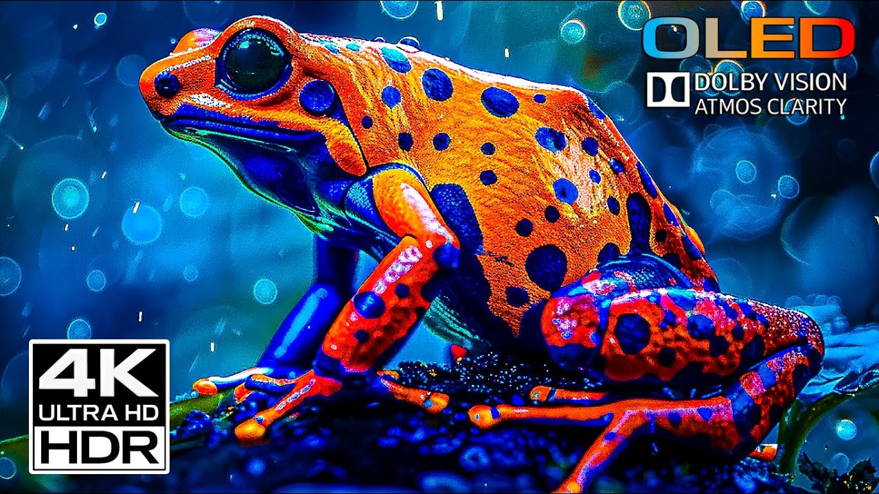 EPIC 4K HDR Ultra HD Showcase | Dolby Vision 60fps (4K/8K TV Test ...