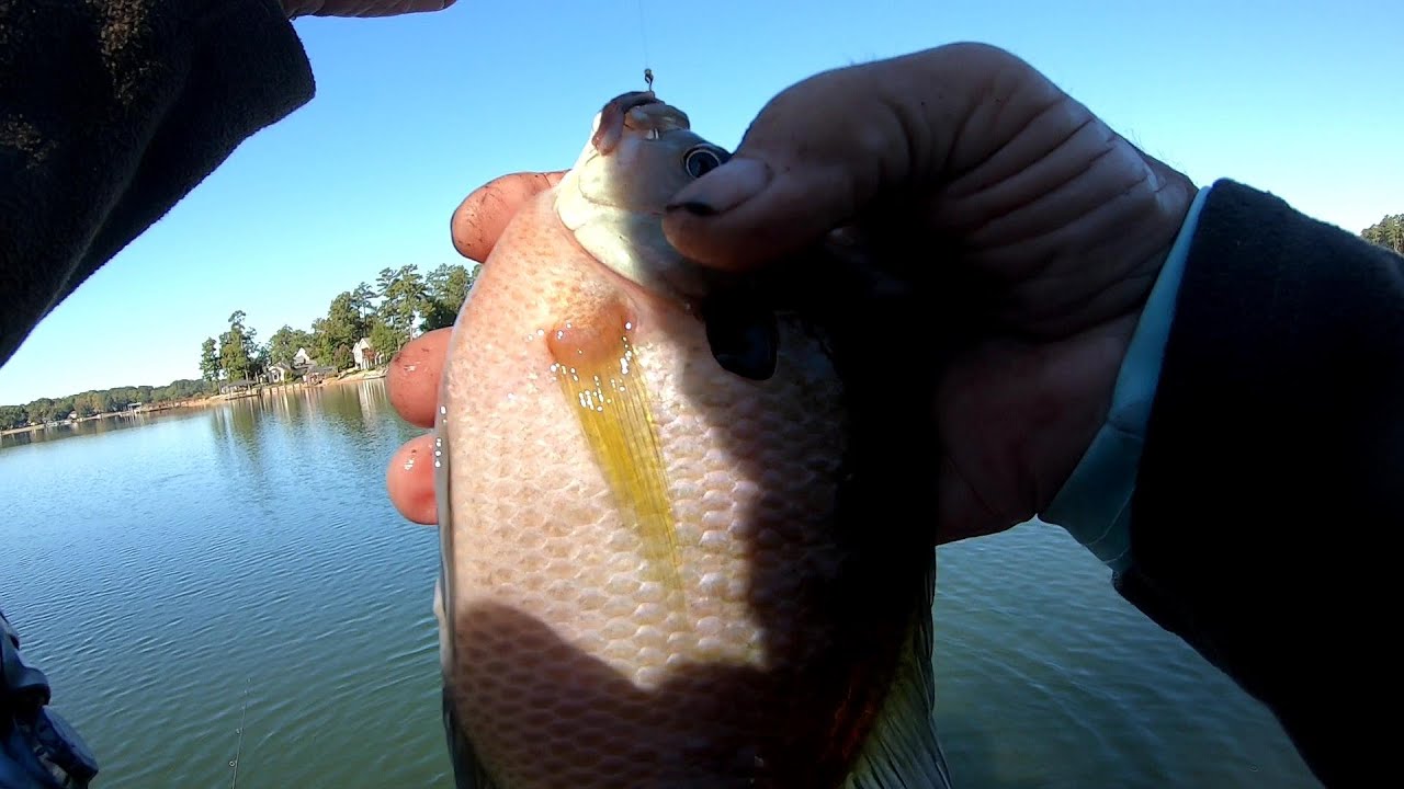 Crappie & Bream, Lake Murray, South Carolina - YouTube