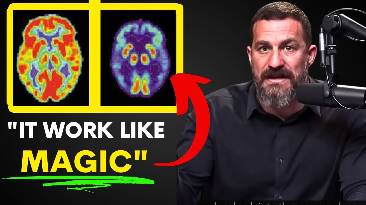 Andrew Huberman: "The Billion Dollar Routine You Can Copy" - Stanford ...