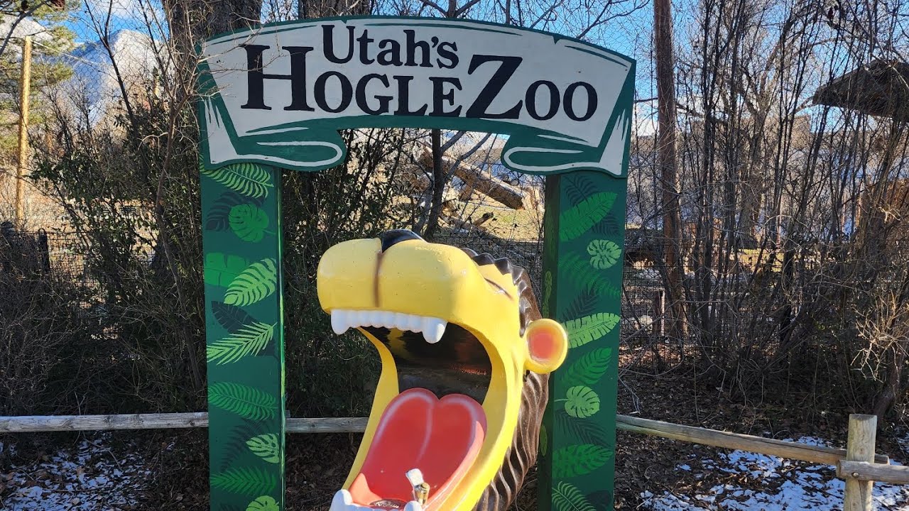 Hogle Zoo Fun - YouTube