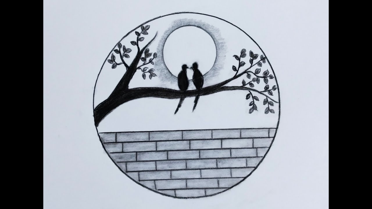 How to draw a circle bird drawing || The birds are sitting on a wall ...