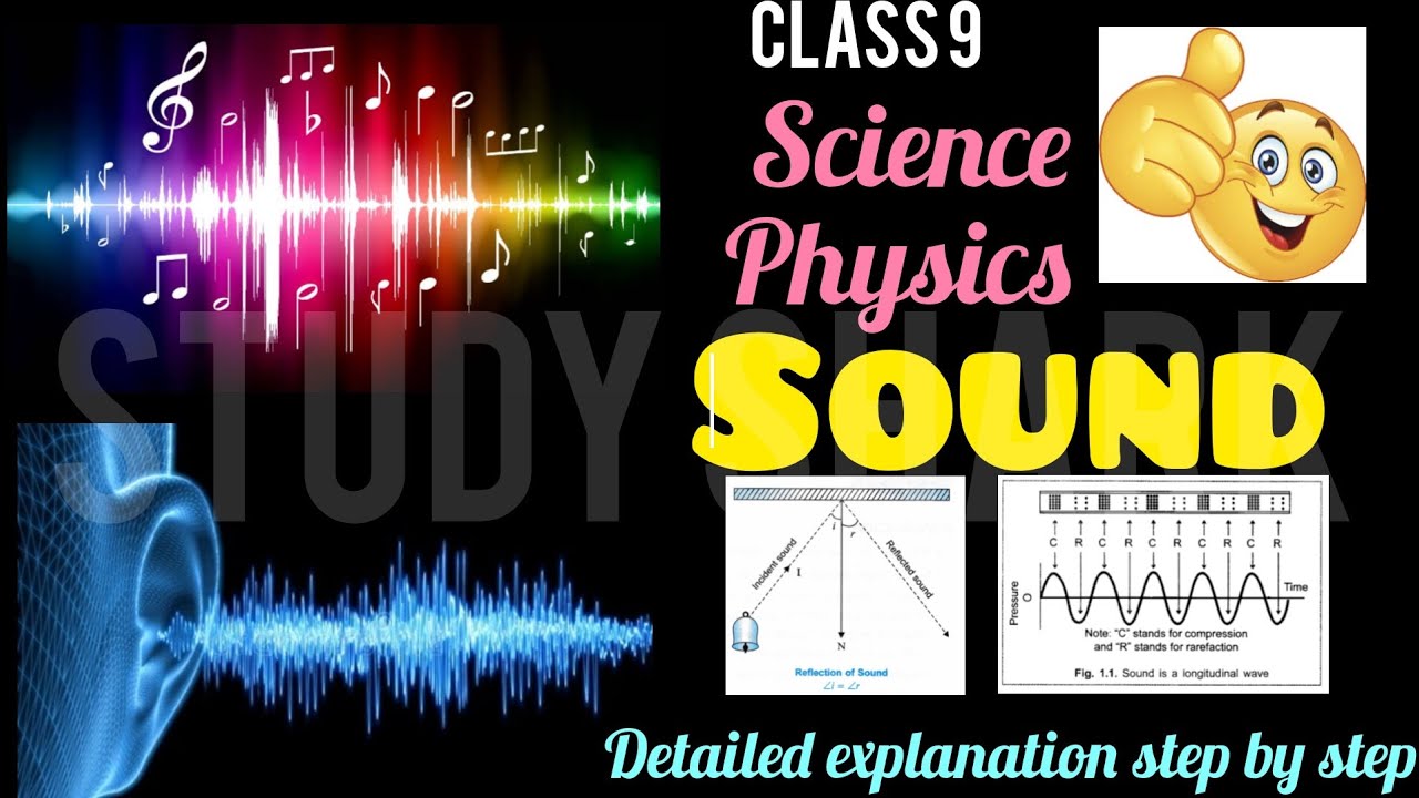 class 9th science physics chapter sound full explanation step by step @ study shark. - YouTube