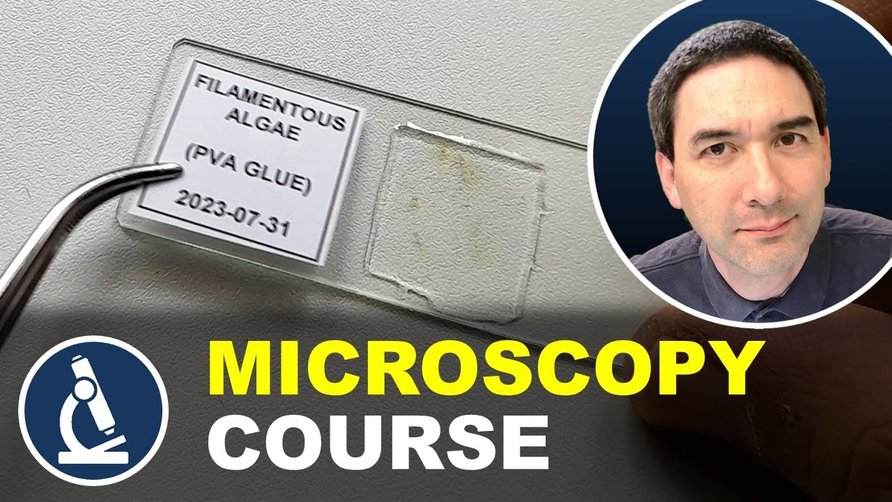 How to make a permanently mounted microscope slide | MICROSCOPY COURSE ...